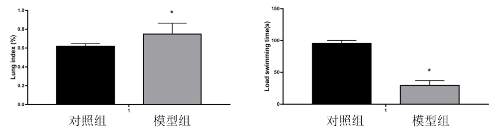 LPS联合被动吸烟诱导慢性阻塞性肺病模型 - 中洪博元商城_疾病动物模型_实验动物_动物实验物资